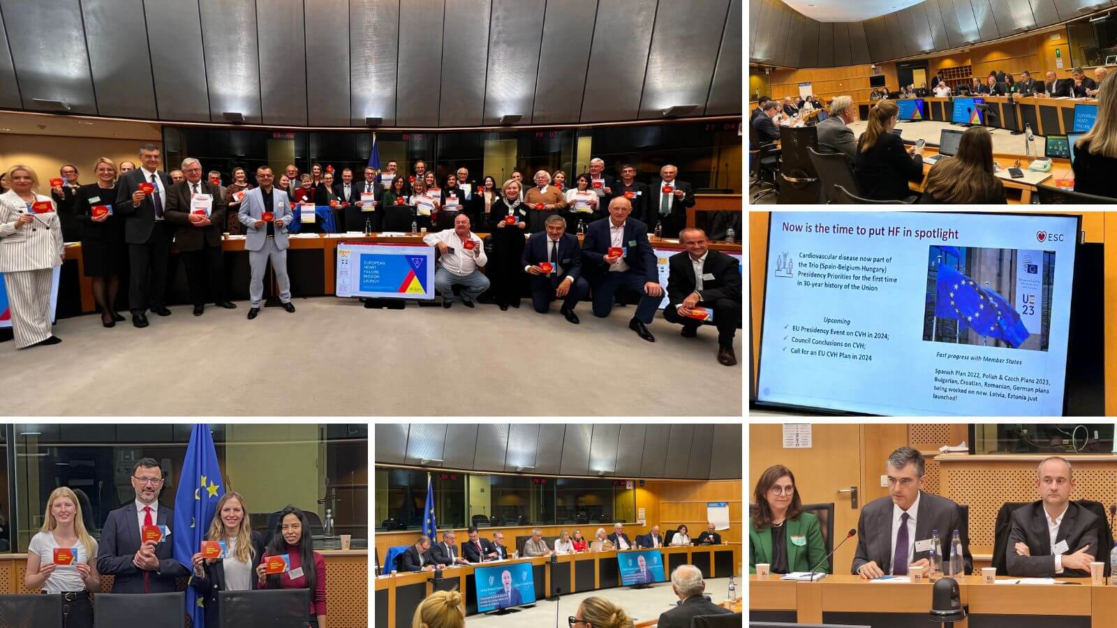 Five lessons from the European Heart Failure Mission launch event - The ...